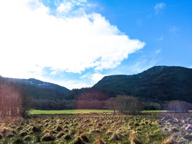 10 Pictures of Killarney National Park That'll Make You Want to Visit ...