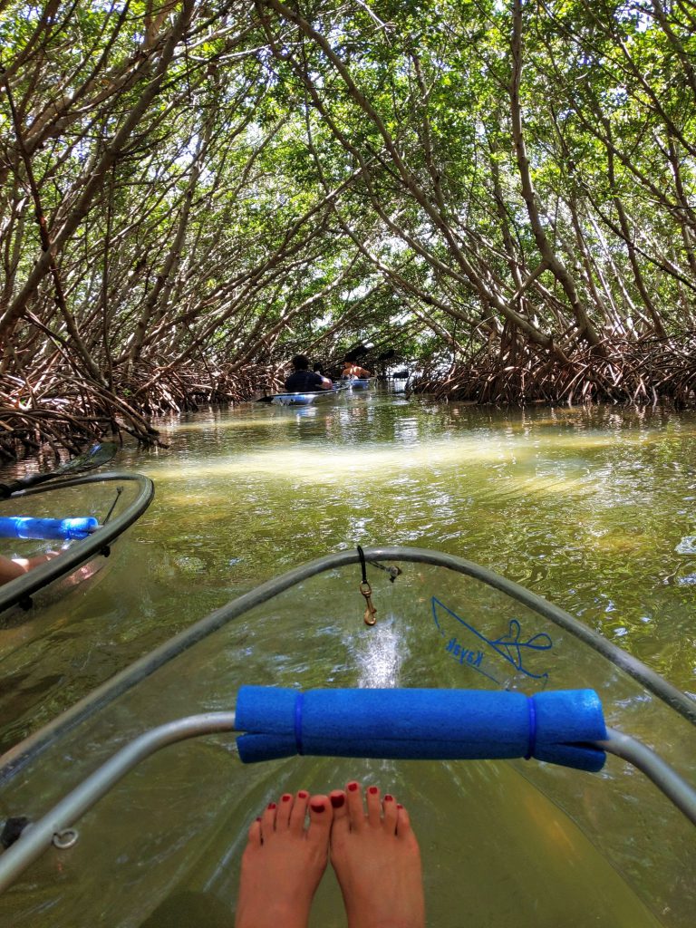 Shell Key Preserve: What You Need to Know Before You Go - Golden Age Trips