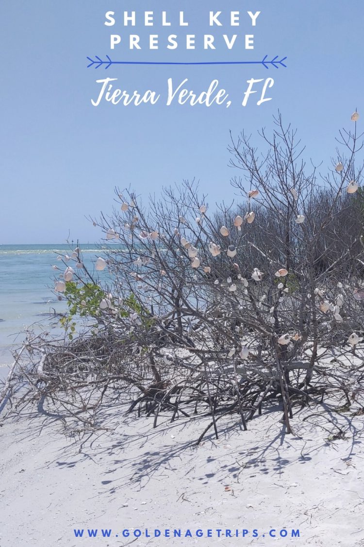 Shell Key Preserve: What You Need to Know Before You Go - Golden Age Trips